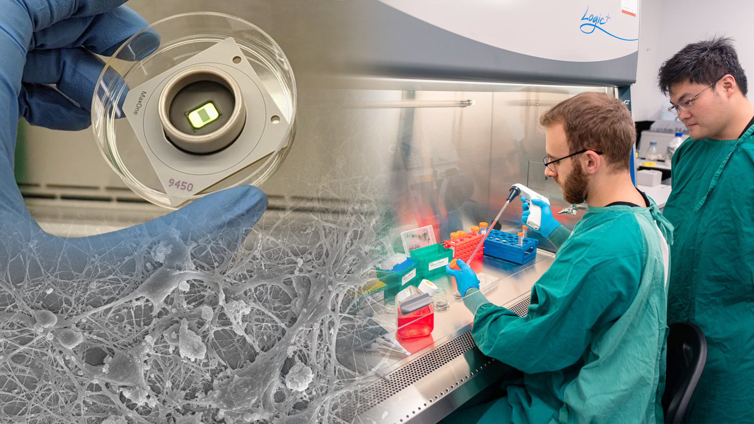 A New Era of Biological Intelligence - George Freeman